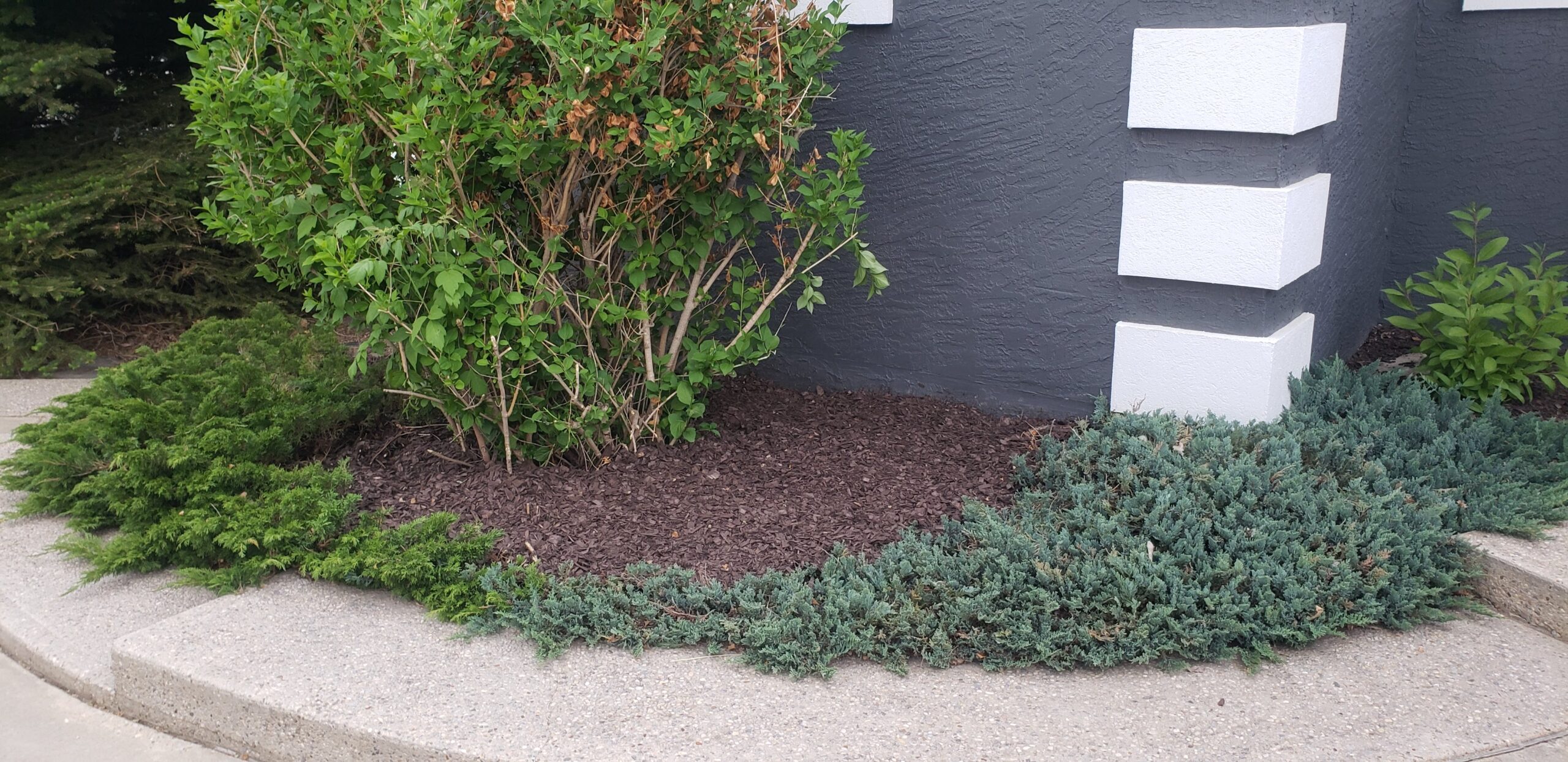 Dark Brown Mulch bagged - Mulch People